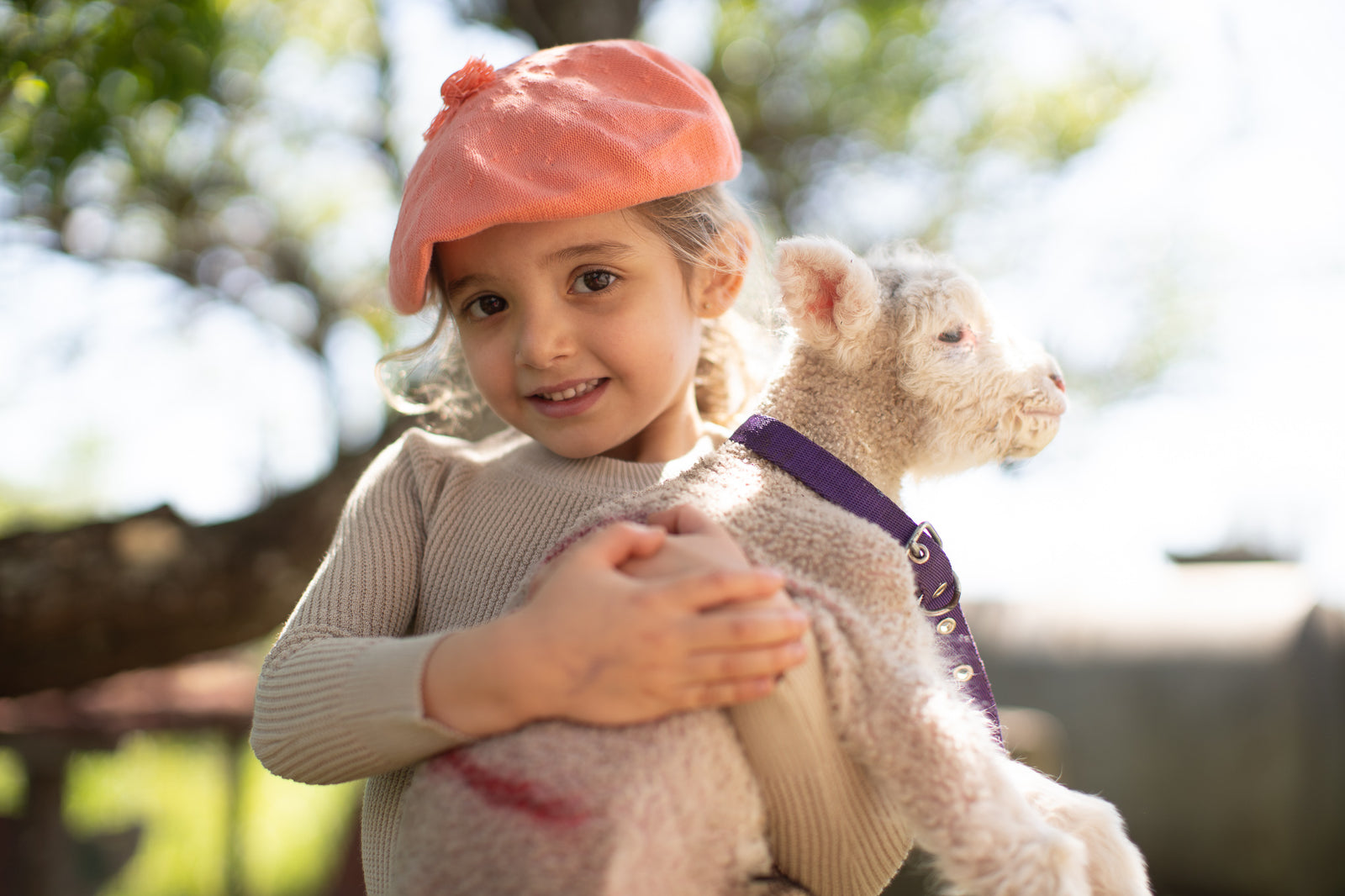 Lanullva Raggsokk, Marine